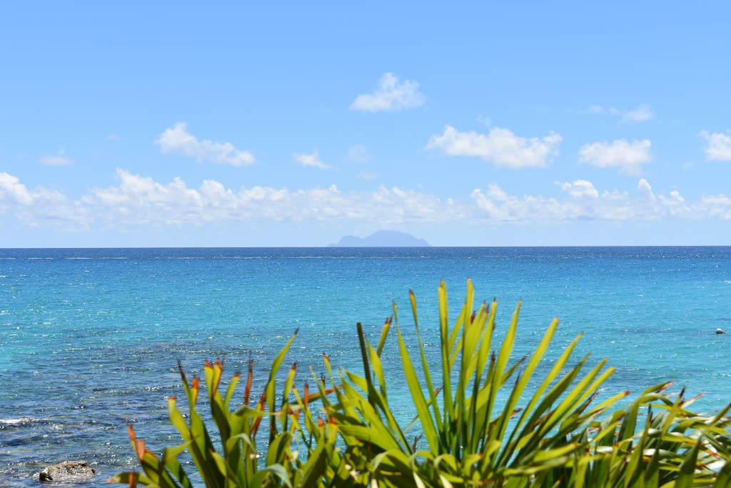 INDIGO BEACH RESTAURANT - A Slice of Paradise on Sint Maarten
